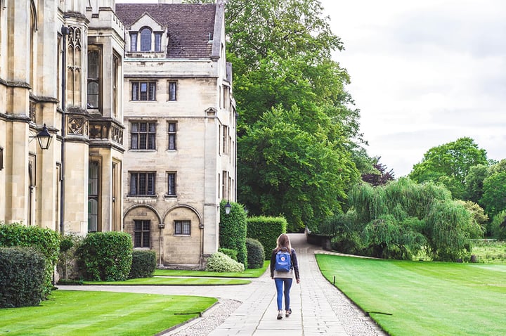 Wat is een University College? | Studiekeuzelab